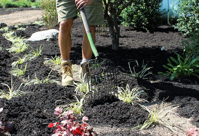 How to Install Mulch - Plant for Success