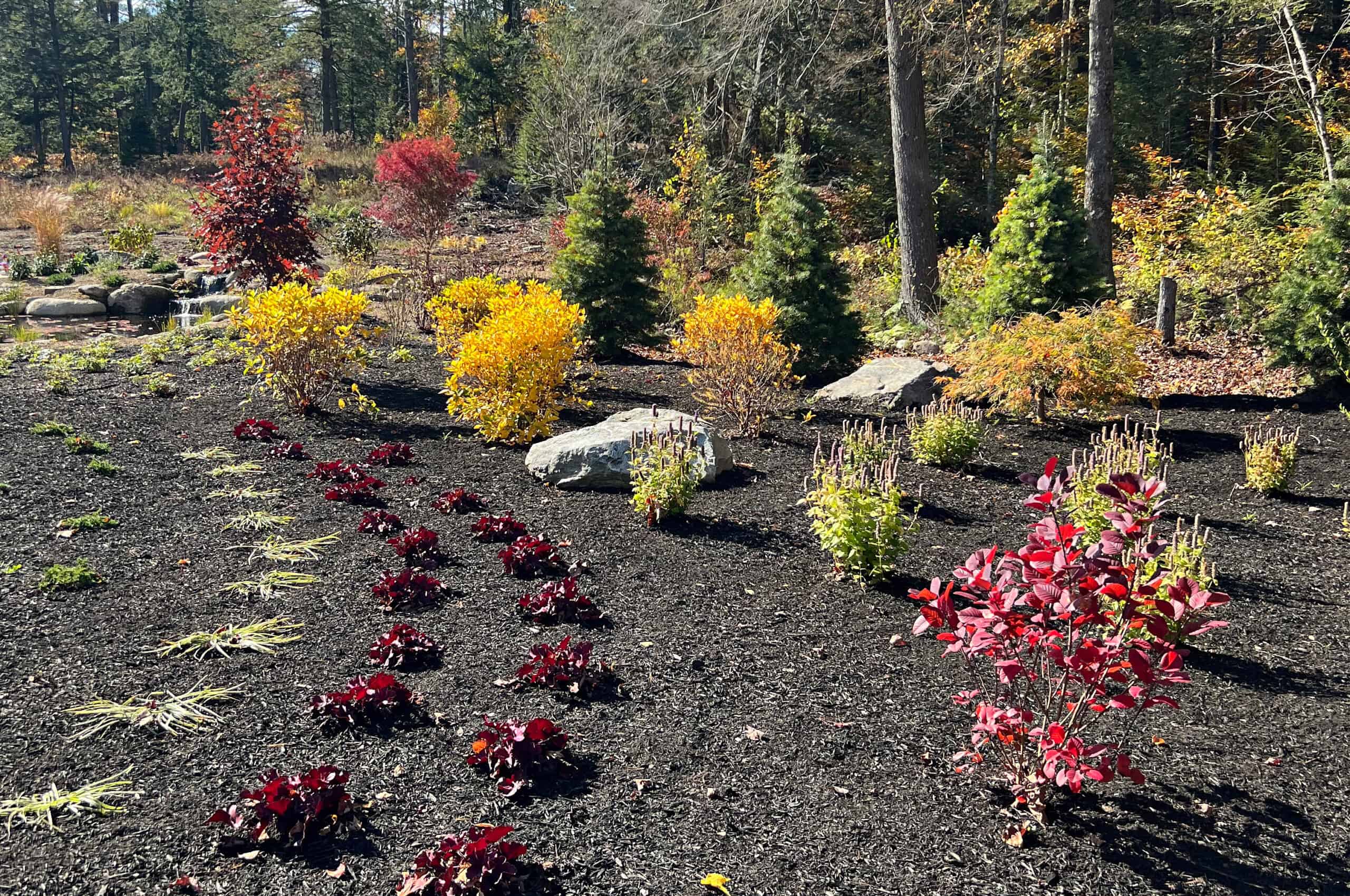 Fall Planting: Benefits and Tips - Plant for Success