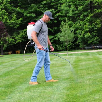 Landscape Archives - Plant for Success