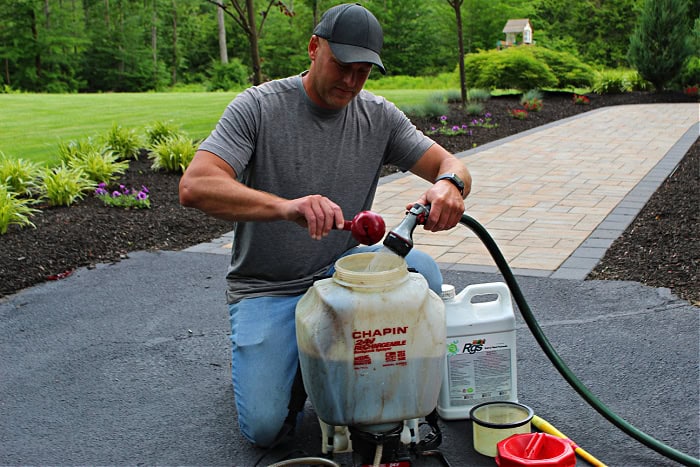 How and Why to Use a Backpack Sprayer - Plant for Success